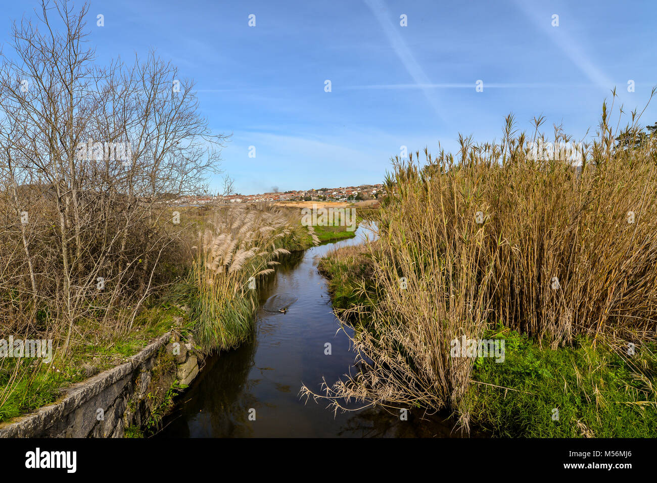 An early spring day on Playa America Stock Photo - Alamy