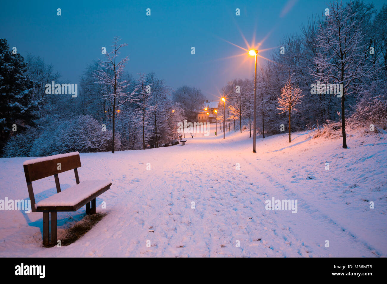 Winter alley with benches and lanterns at night Stock Photo - Alamy