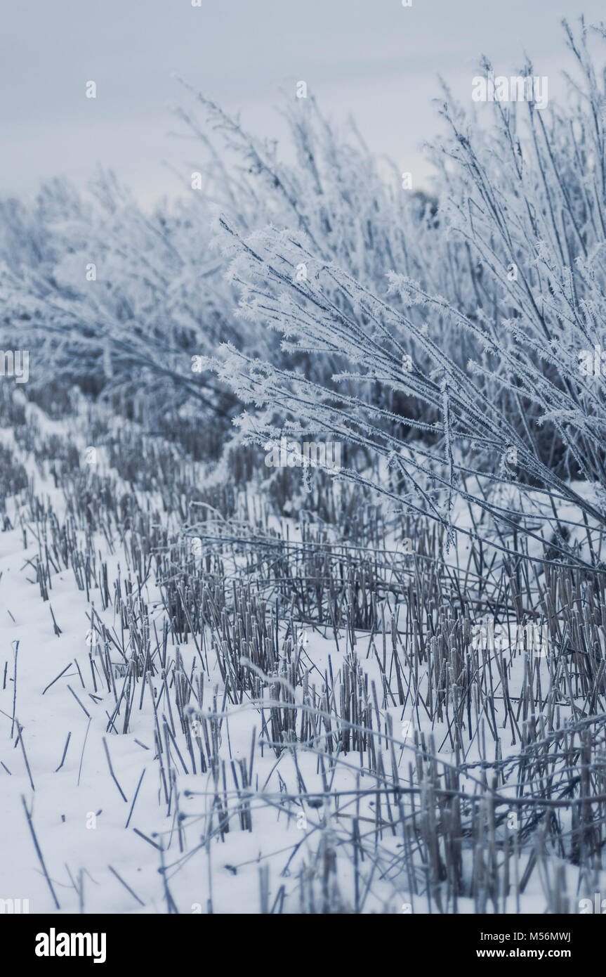 Frozen atmosphere hi-res stock photography and images - Alamy