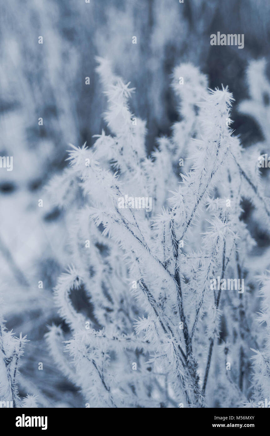 Frozen atmosphere hi-res stock photography and images - Alamy