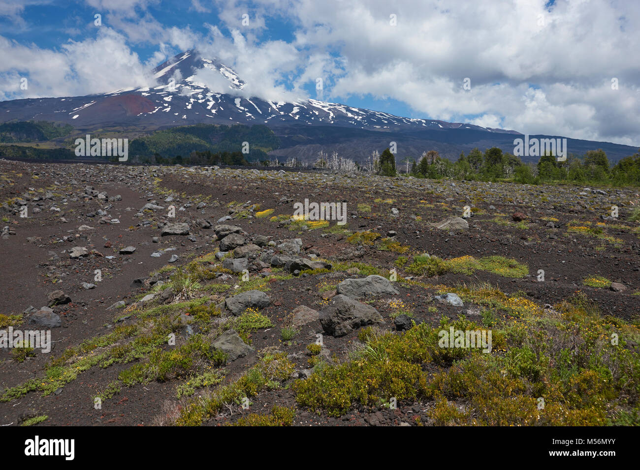Volcan llaima volcano conguillio hi-res stock photography and images ...