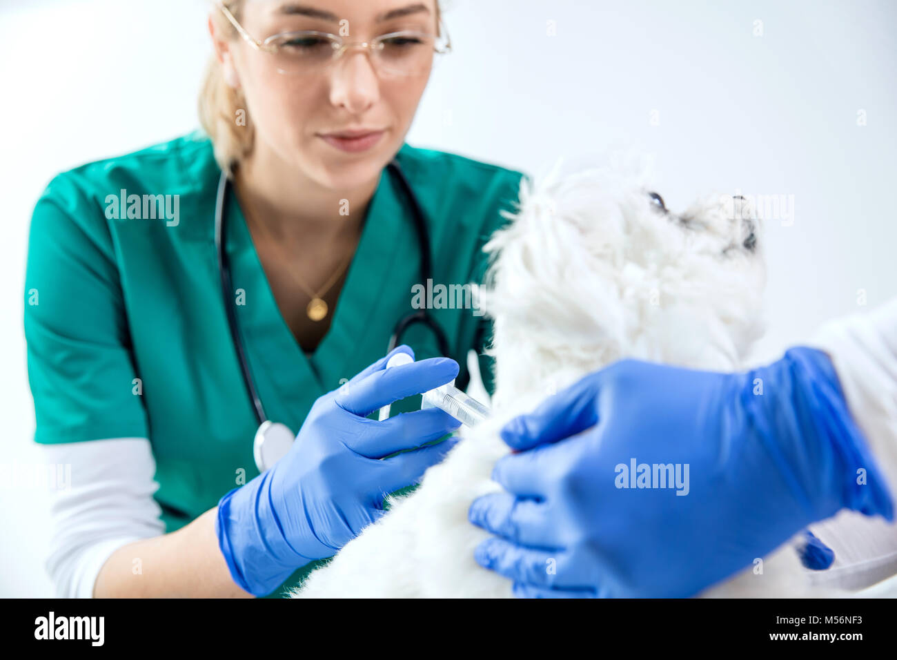 Female doctor makes examination hi-res stock photography and images - Alamy