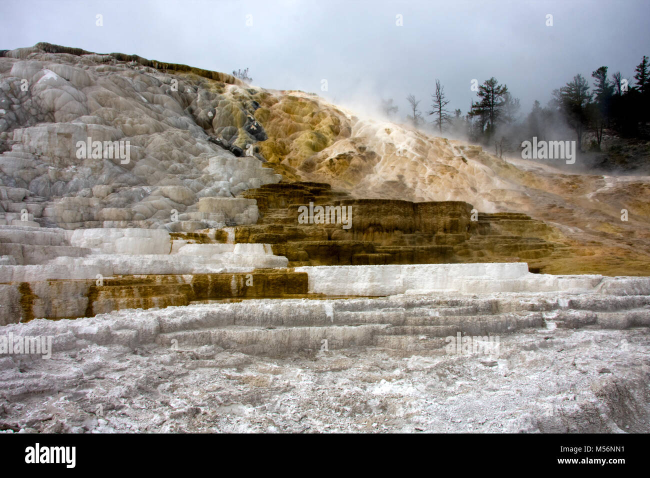 Travertine terrace at Mammoth Hot Springs, Yellowstone National Park ...