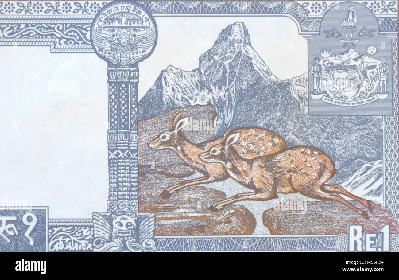 Rupees nepal money currency hi-res stock photography and images - Alamy