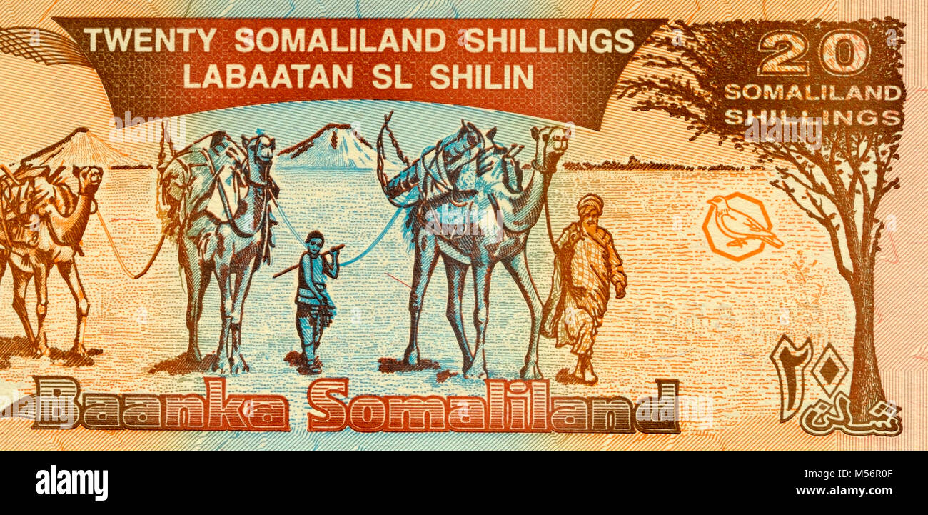 Somaliland Twenty 20 Shilling Bank Note Stock Photo - Alamy