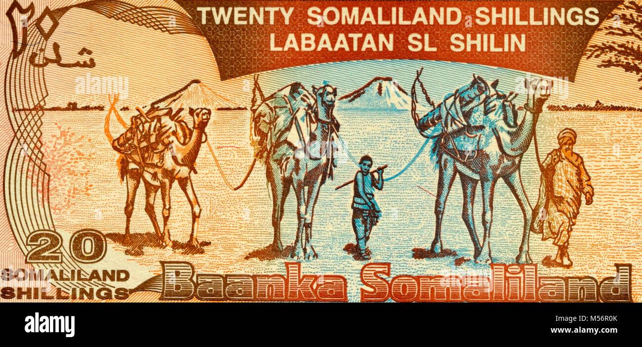 Somali banking hi-res stock photography and images - Alamy