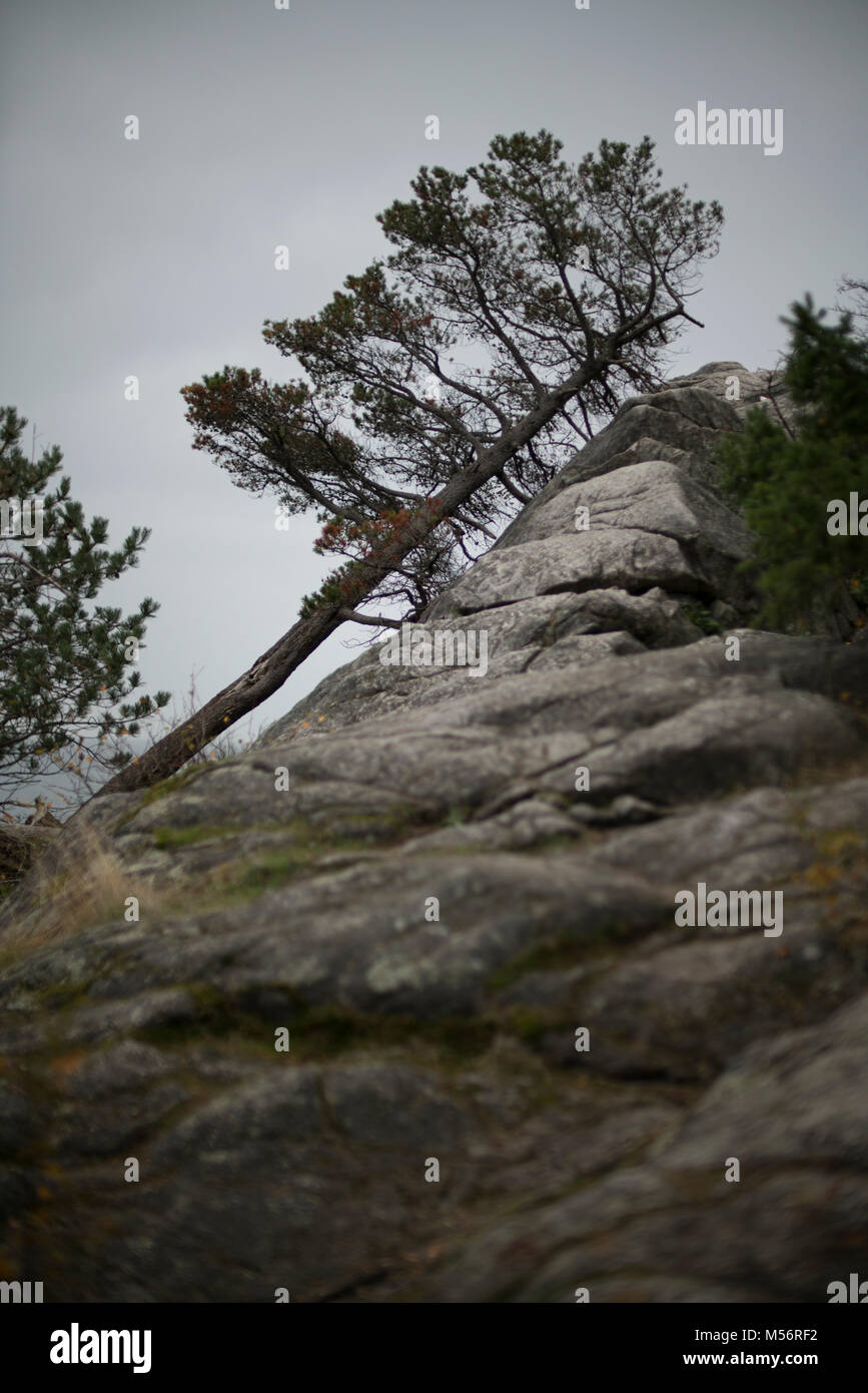 Stone falling hi-res stock photography and images - Alamy