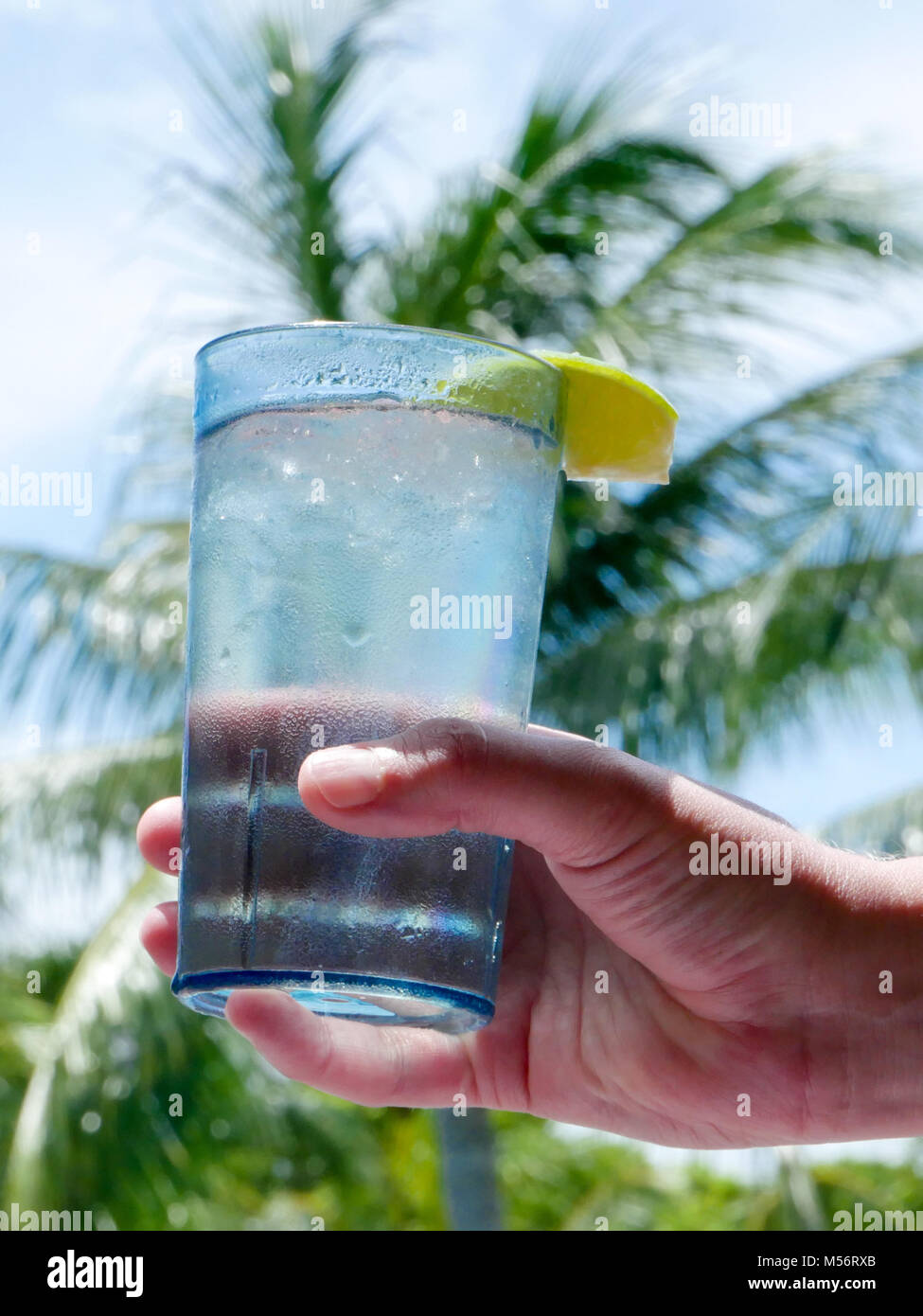 Tropical drinks at the swimming pool, Mexico Stock Photo - Alamy