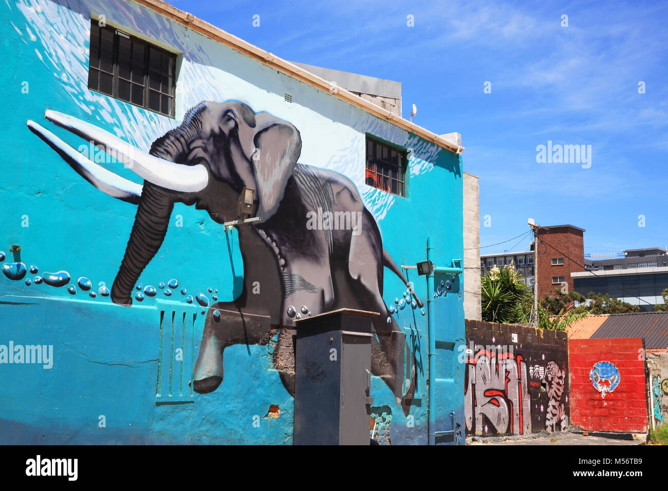 Woodstock cape town graffiti hi-res stock photography and images - Alamy
