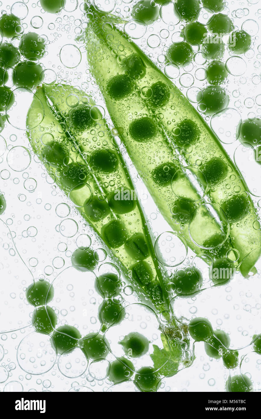 green peas floating in water Stock Photo - Alamy