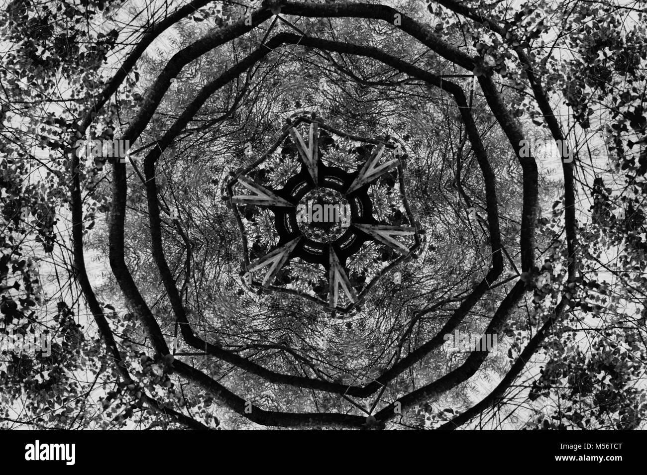 Nature designs of rock and trees Stock Photo - Alamy