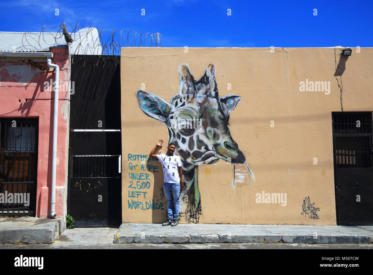 Woodstock cape town graffiti hi-res stock photography and images - Alamy
