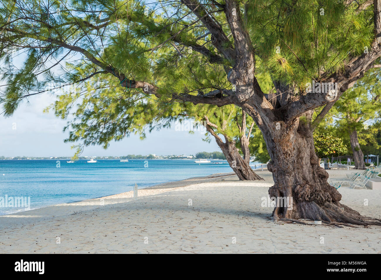 Cayman islands beach hi-res stock photography and images - Alamy