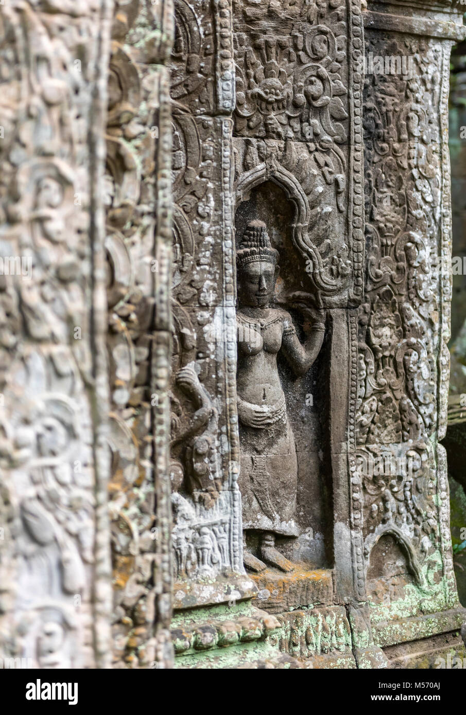 Bas-reliefs at Ta Prohm jungle temple in Angkor, Cambodia Stock Photo ...