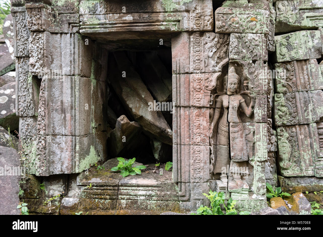 Bas-reliefs at Ta Prohm jungle temple in Angkor, Cambodia Stock Photo ...