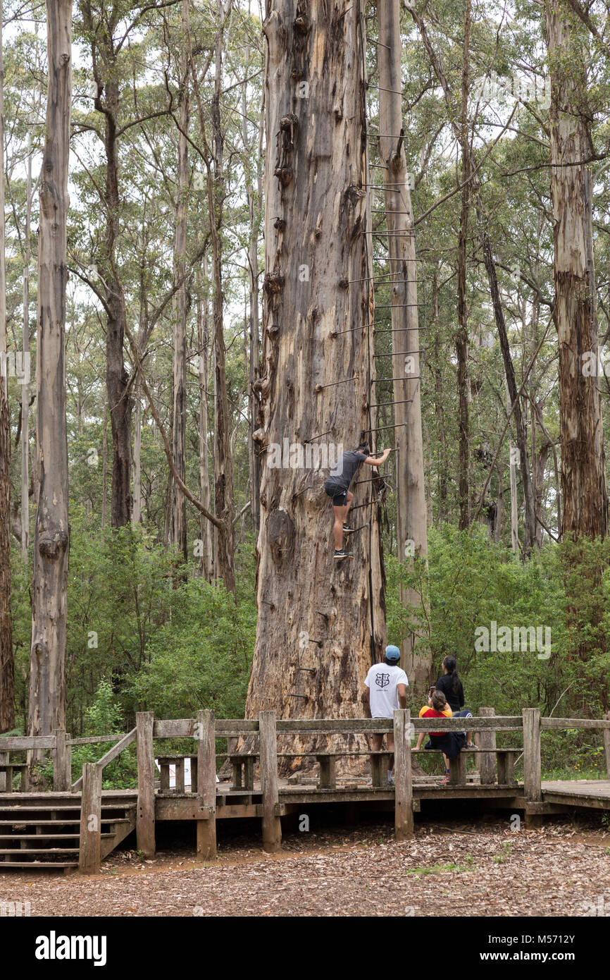 Australian climber hi-res stock photography and images - Alamy
