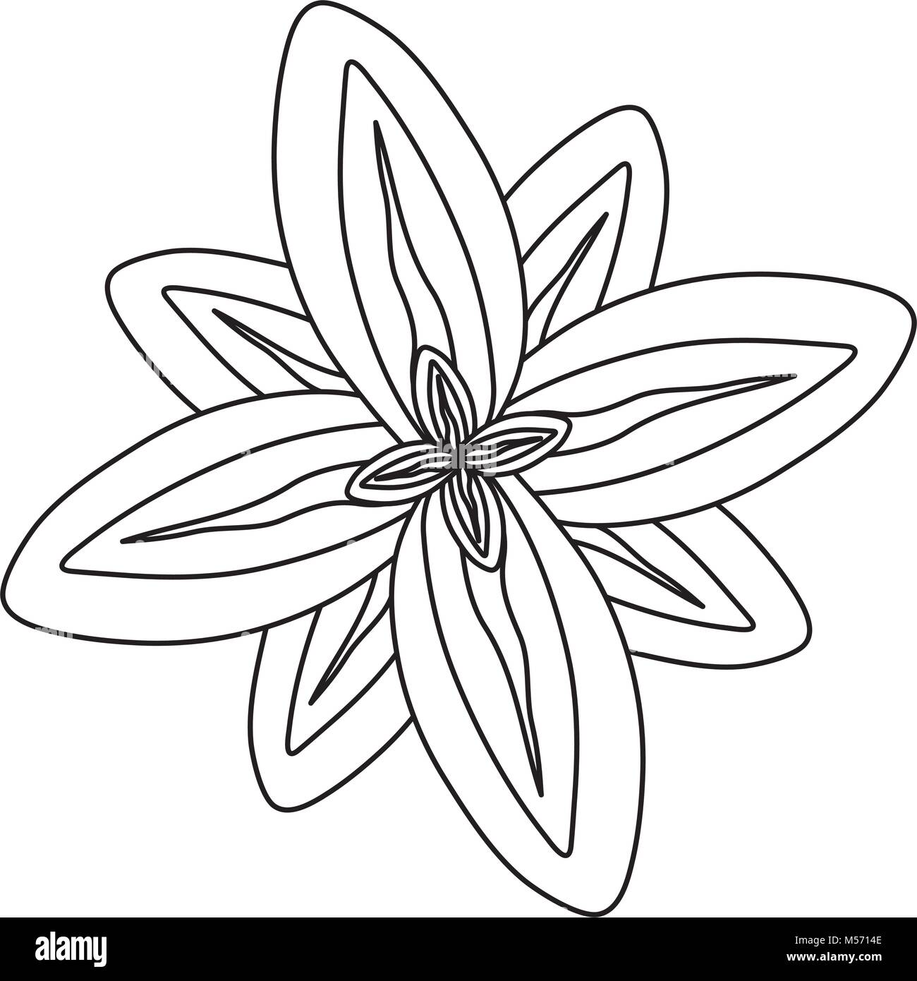 Uncolored flower Stock Vector Images - Alamy