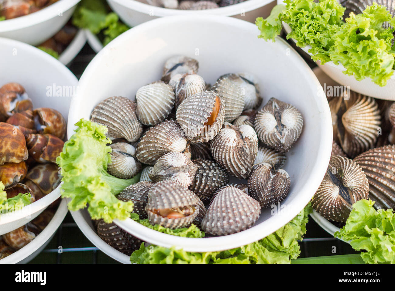 Steamed blanched cockles for cooking dinner with family at street food ...