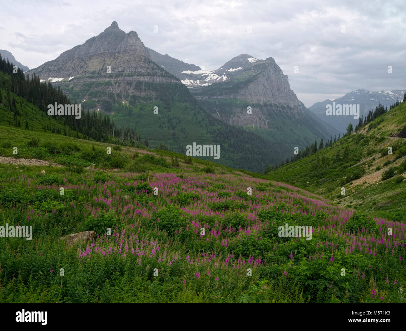 Glacier national park cannon hi-res stock photography and images - Alamy