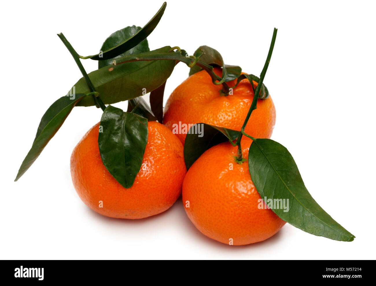 three tangerines isolated on a white background Stock Photo - Alamy
