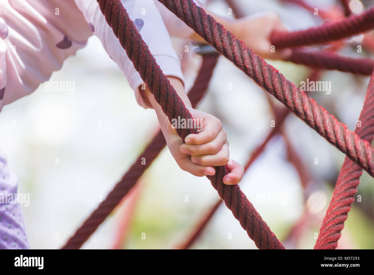 rope in the playground, rope bridge in an adventure rope at the ...
