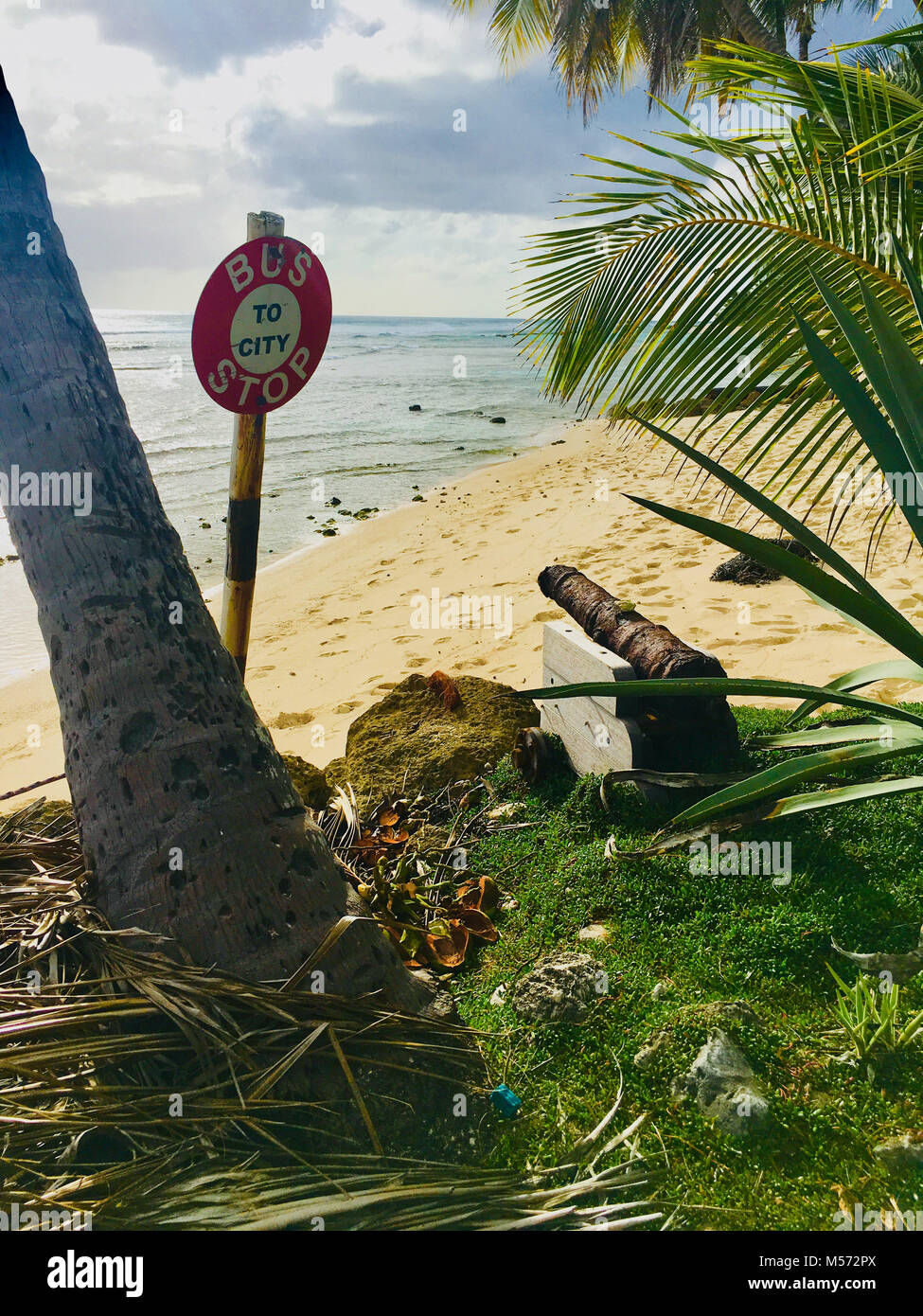 Bus stop and cannon on a beach in Barbados Stock Photo - Alamy