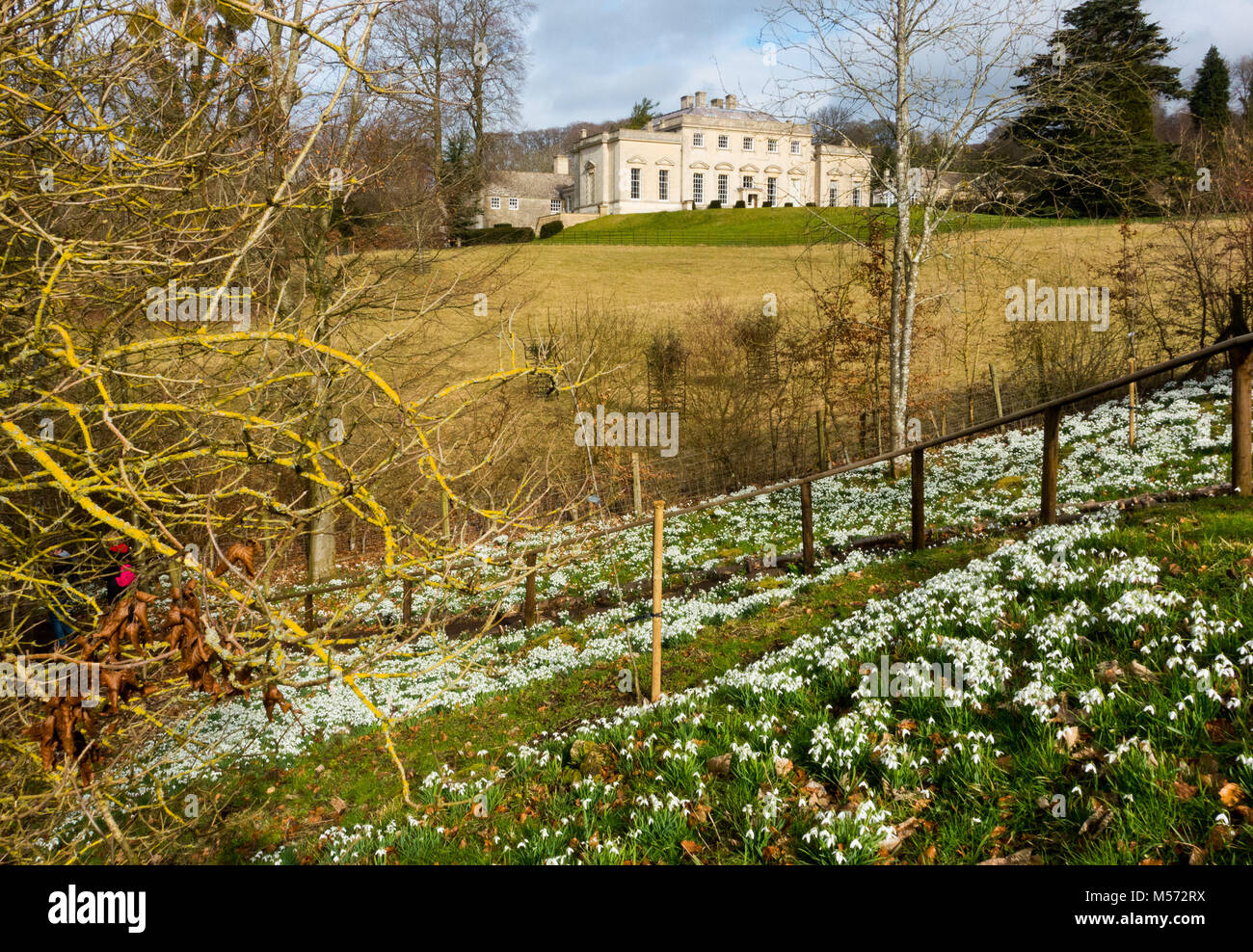 Snowdrops in Painswick Rococo Garden with Painswick House in the ...