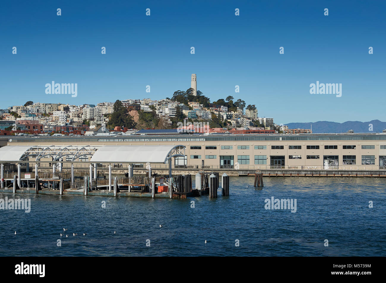 The Coit Tower, Telegraph Hill And The San Francisco Waterfront Stock ...