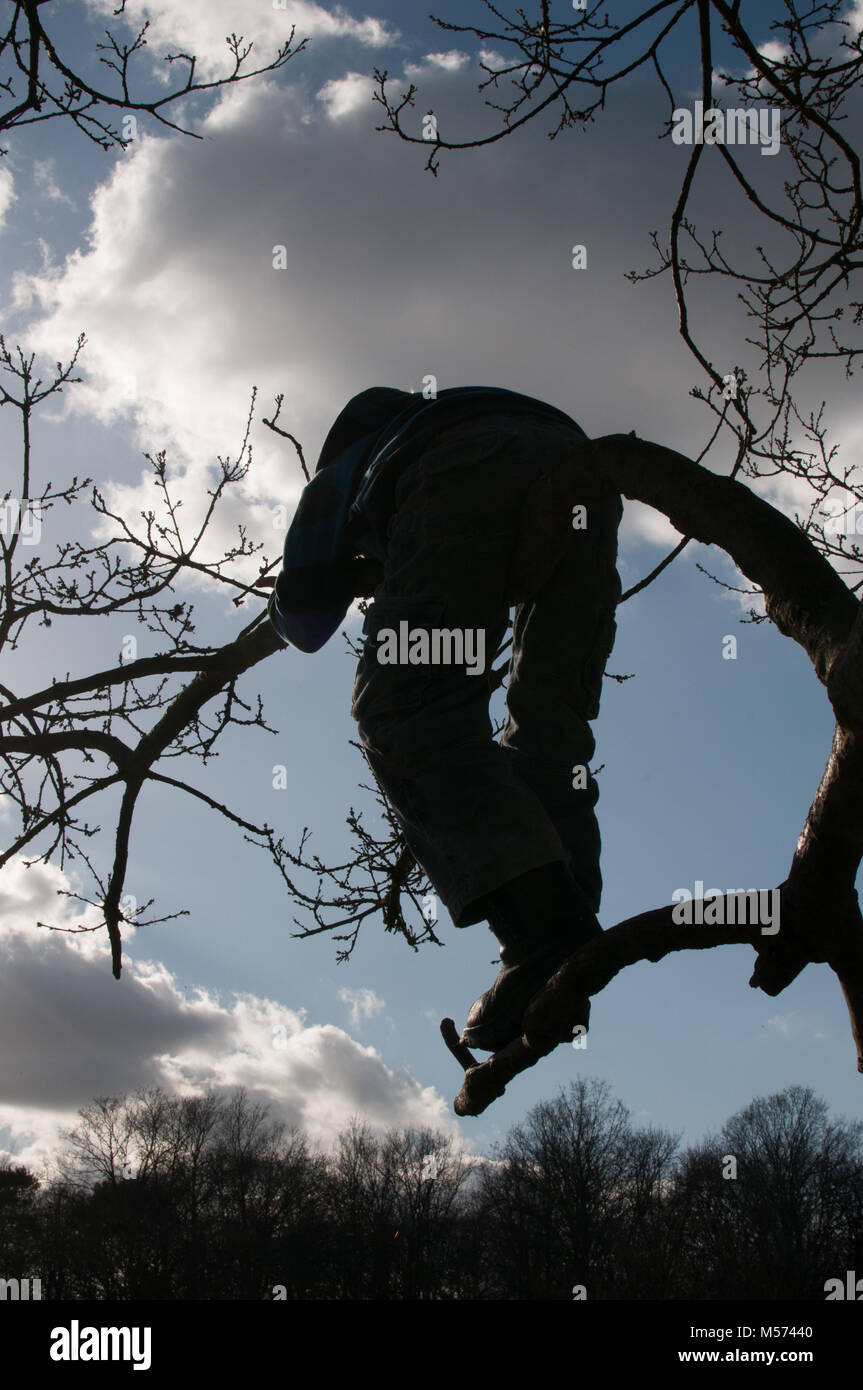 Boy tree silhouette hi-res stock photography and images - Alamy