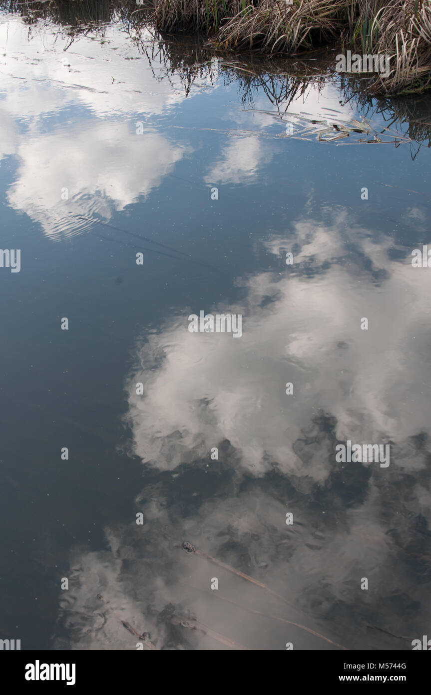 cloudscape reflection on water Stock Photo - Alamy