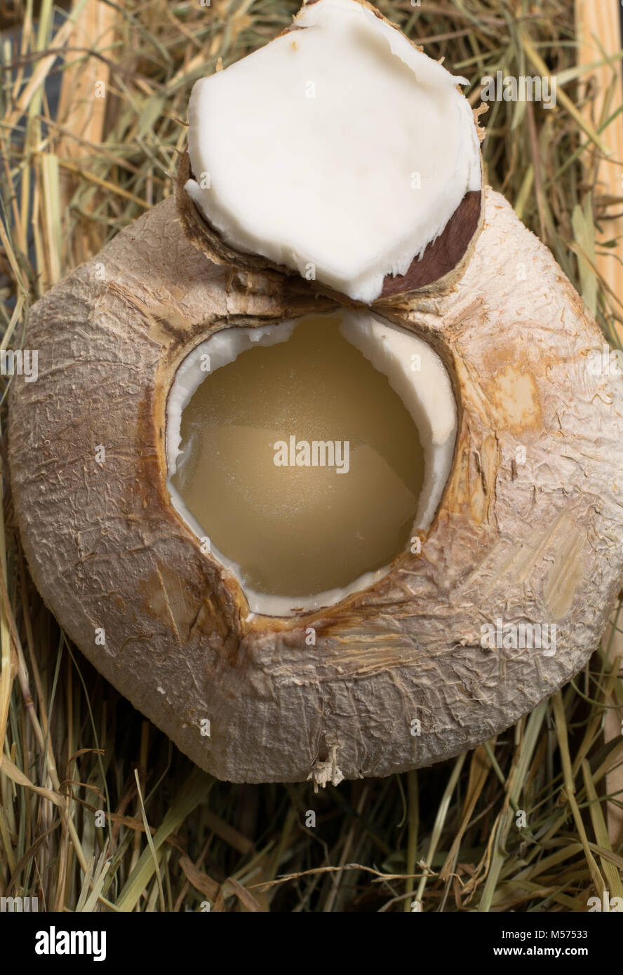 coconut with coco milk in the hay Stock Photo - Alamy