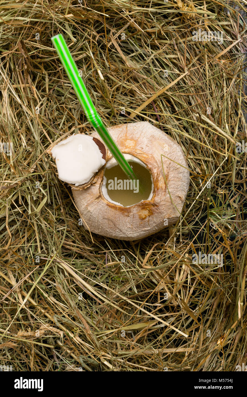 coconut with coco milk in the hay Stock Photo - Alamy
