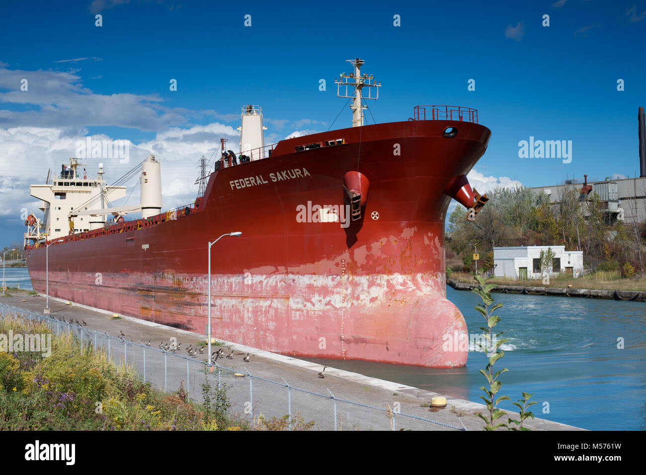 The Federal Sakura bulk carrier passing through the Welland Canal Stock ...