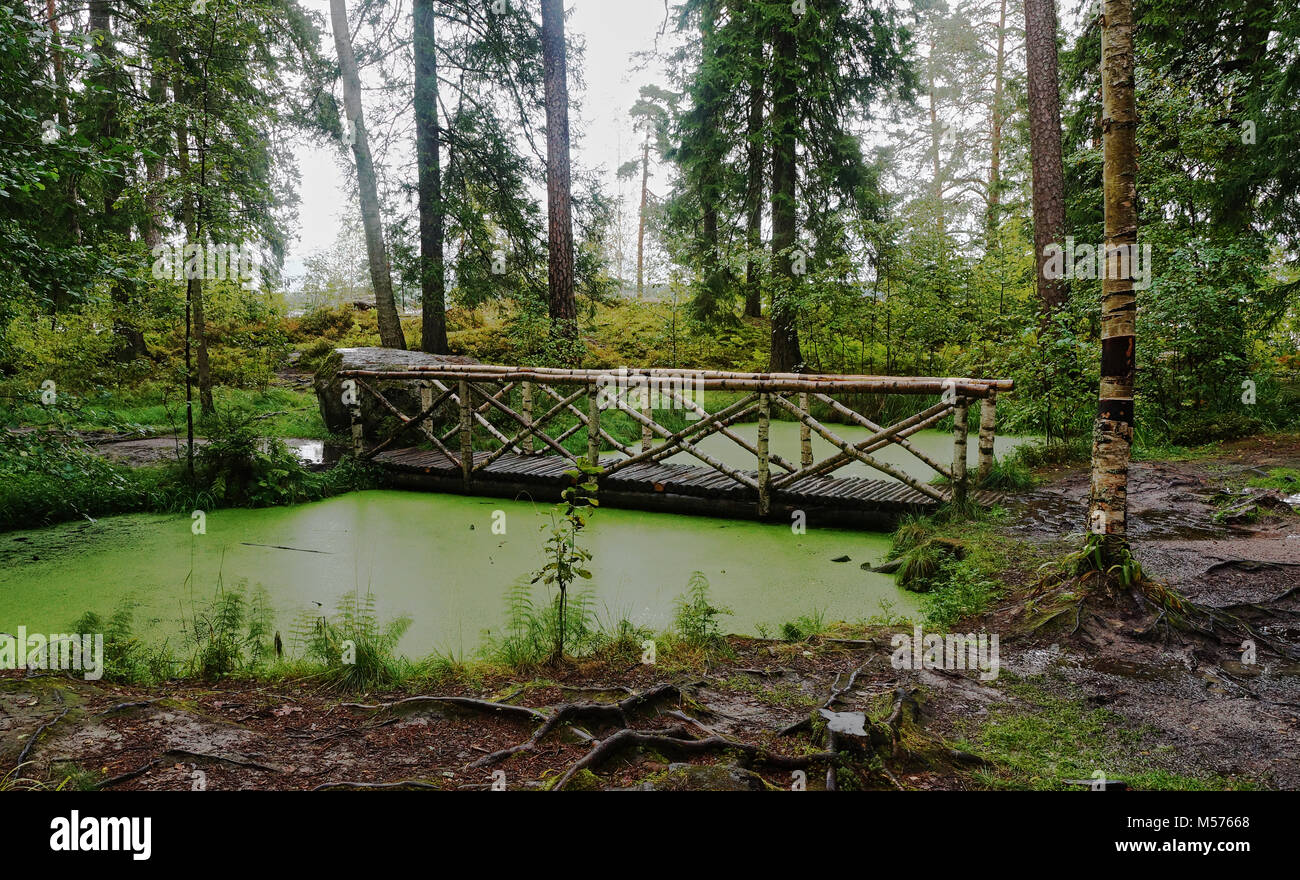 In the natural park "Monrepo" in the city of Vyborg there is a forest ...
