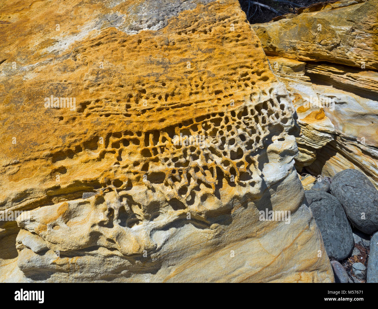 Painted cliffs at Maria Island National Park east coast of Tasmania ...