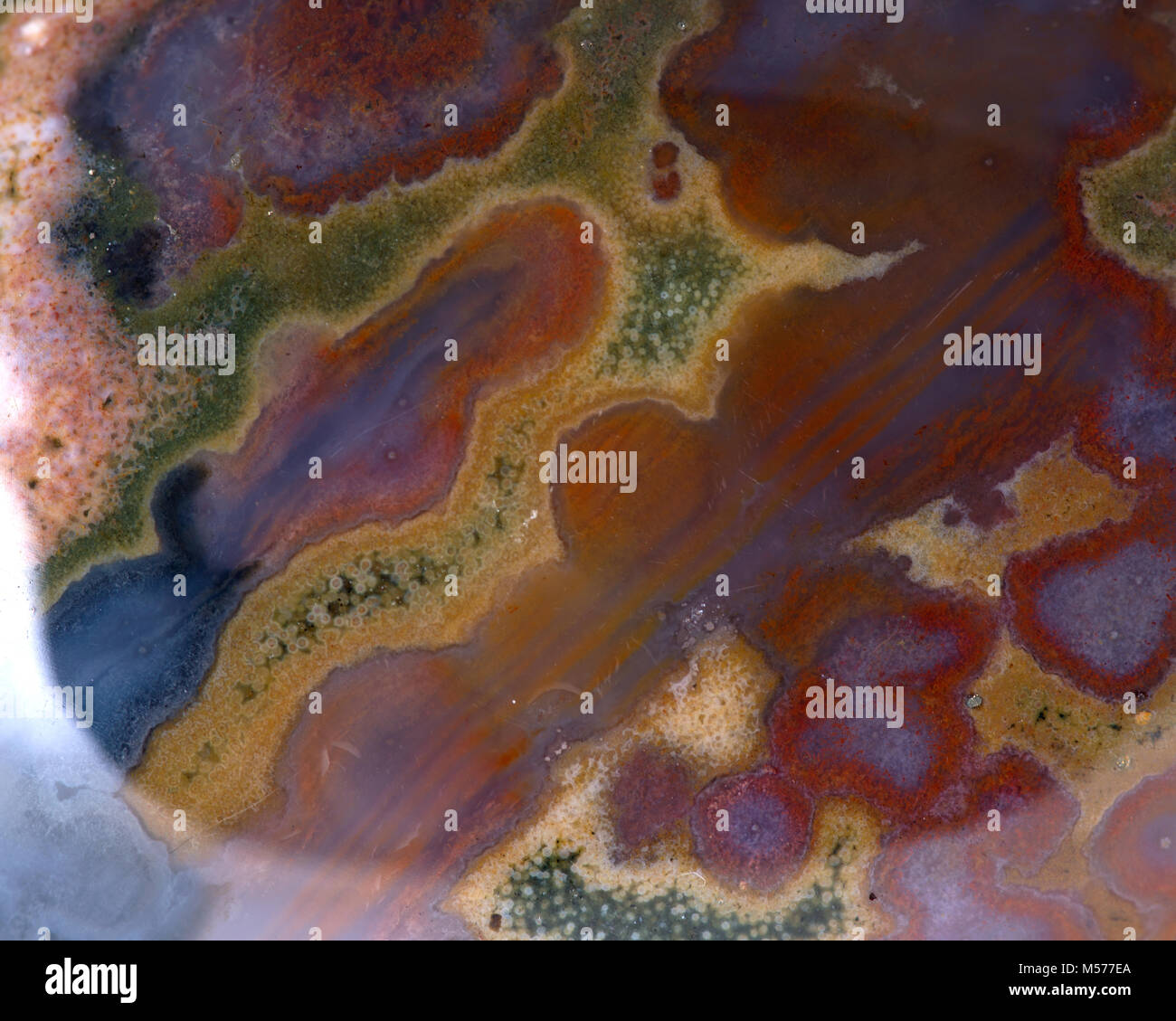 Orbicular jasper mineral stone hi-res stock photography and images - Alamy