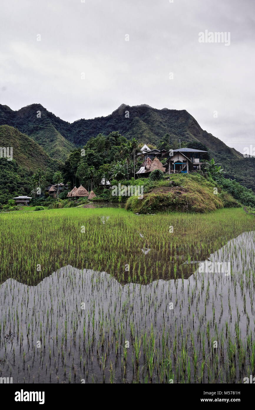 The Batad village cluster-part of the Rice Terraces of the Philippine ...