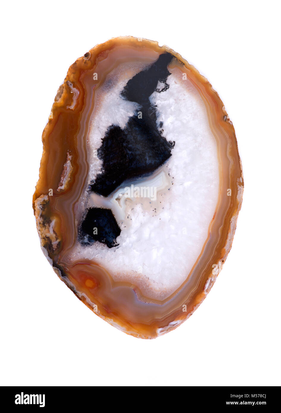 Polished multicolor agate slice isolated on white background Stock ...