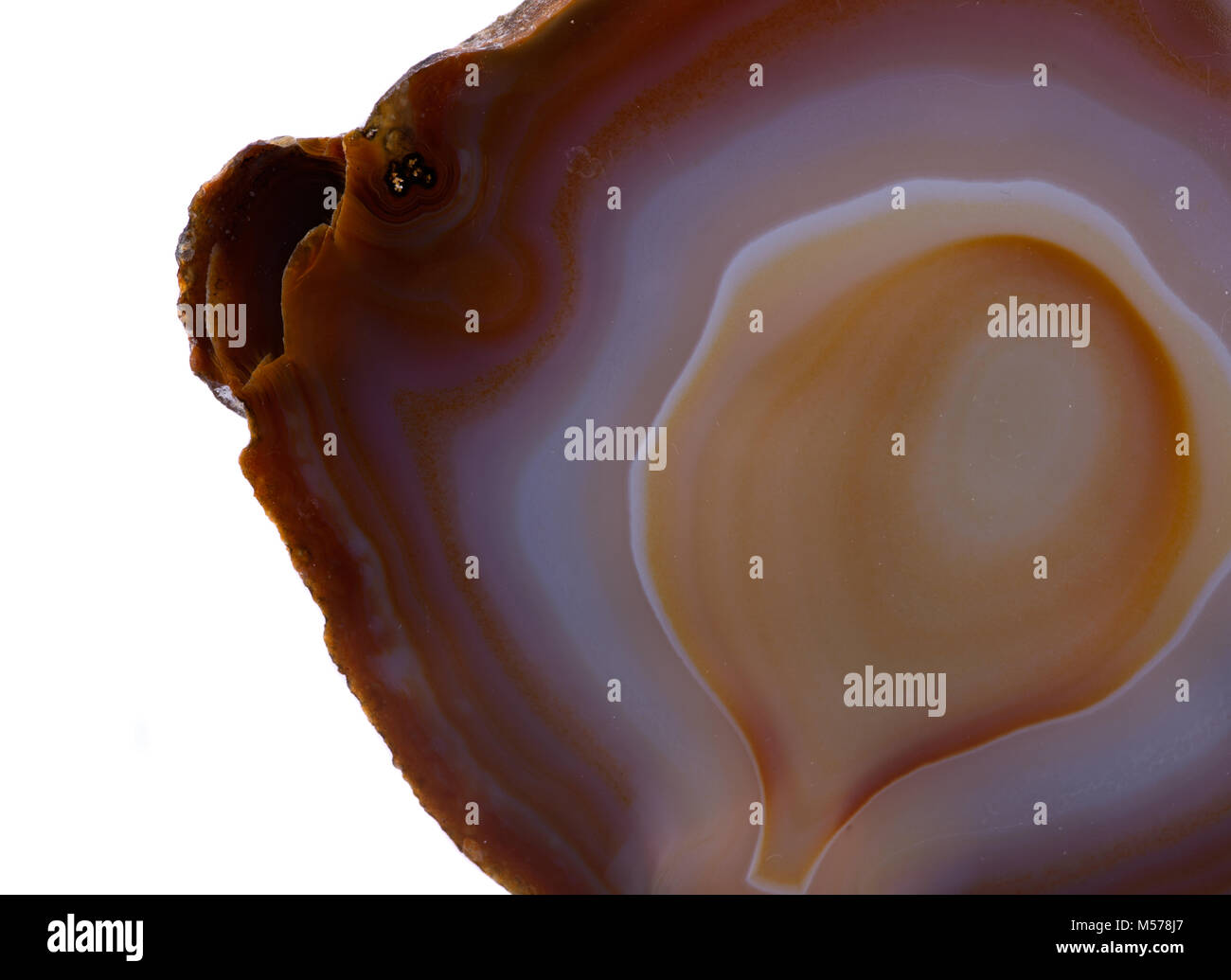 Polished multicolor agate slice isolated on white background Stock ...