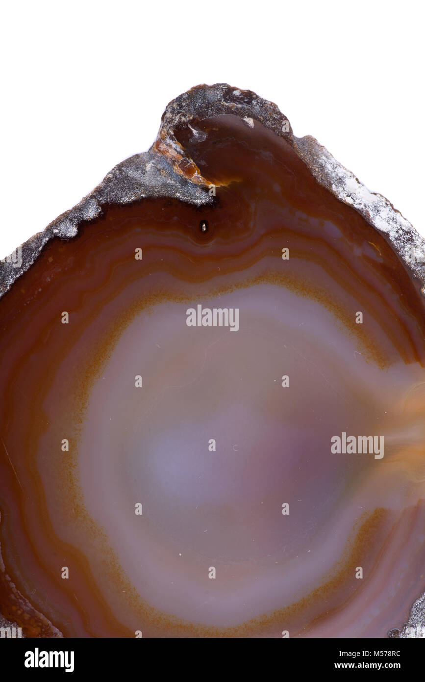 Polished multicolor agate slice isolated on white background Stock ...