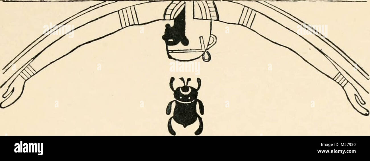 "The sacred beetle: a popular treatise on Egyptian scarabs in art and ...