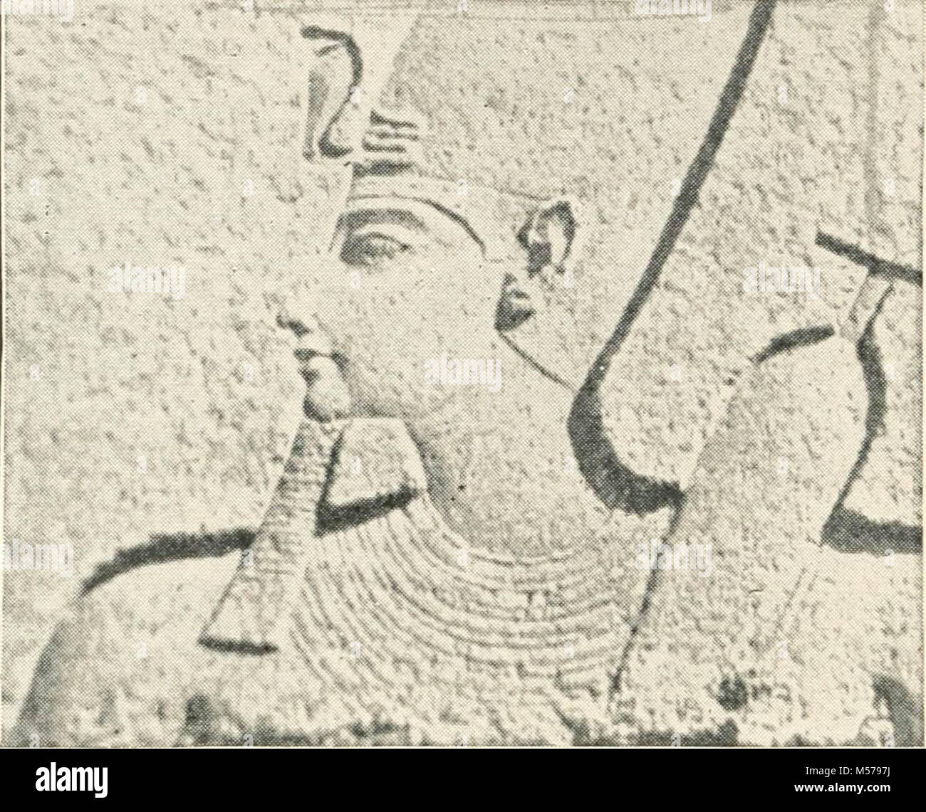 "The sacred beetle: a popular treatise on Egyptian scarabs in art and ...