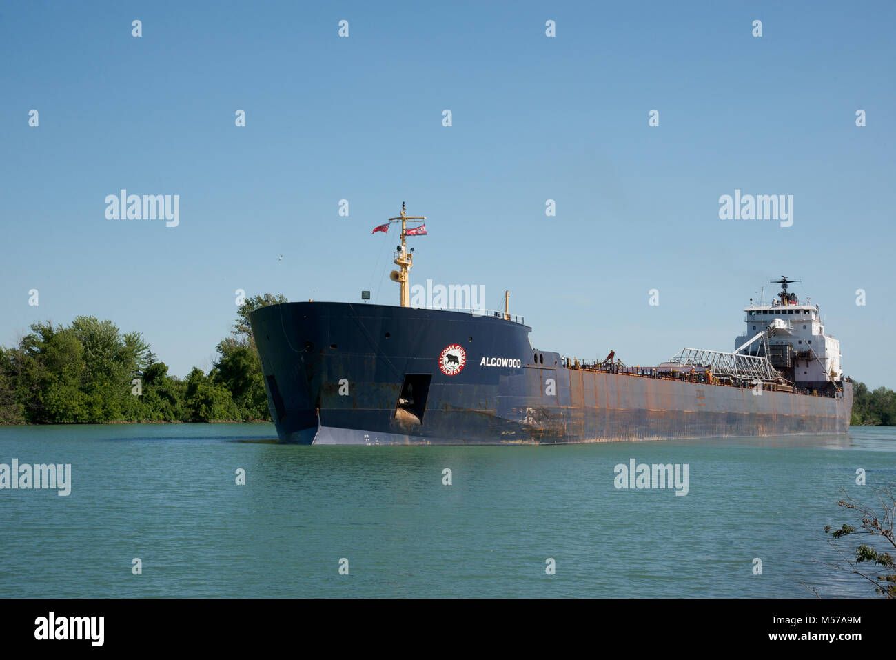 The Algowood bulk carrier passing through the Welland Canal Stock Photo ...