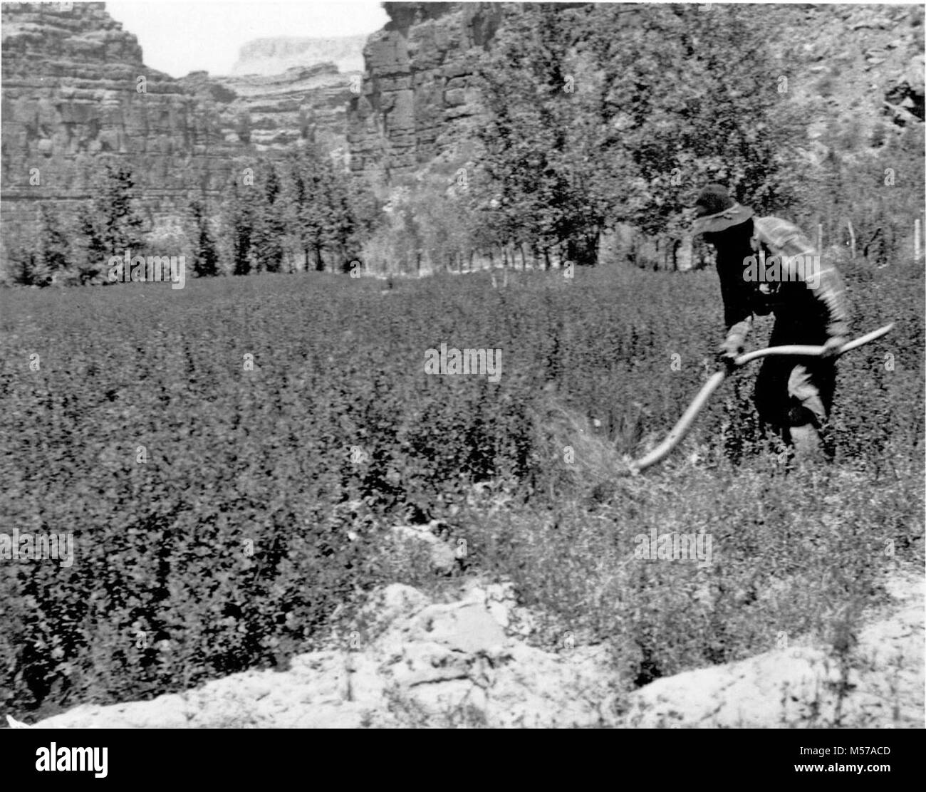 Havasupai people grand canyon hi-res stock photography and images - Alamy