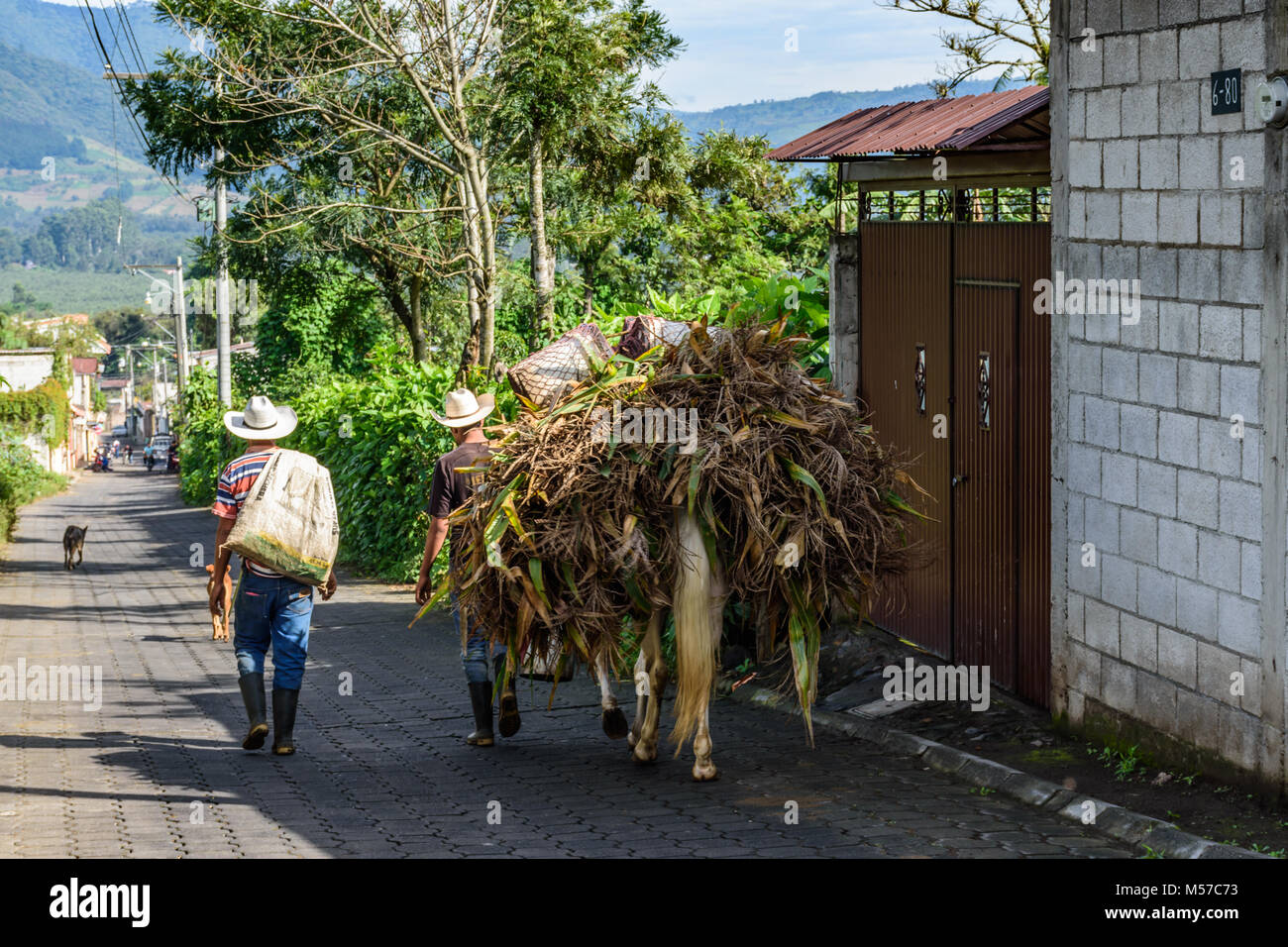 Guatemala coffee growing village hi-res stock photography and images ...