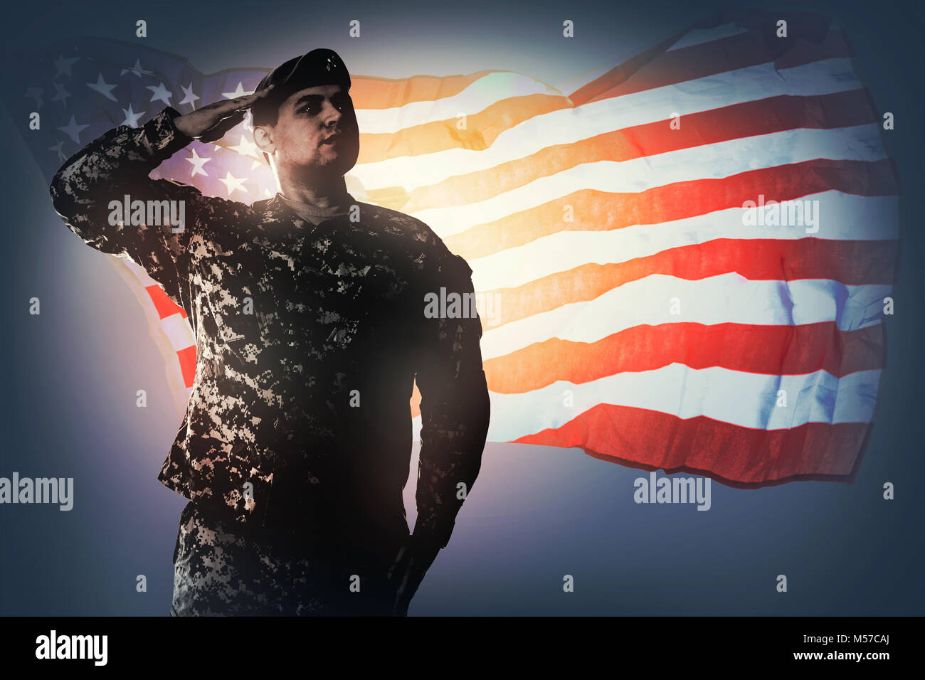 Veteran saluting hi-res stock photography and images - Alamy