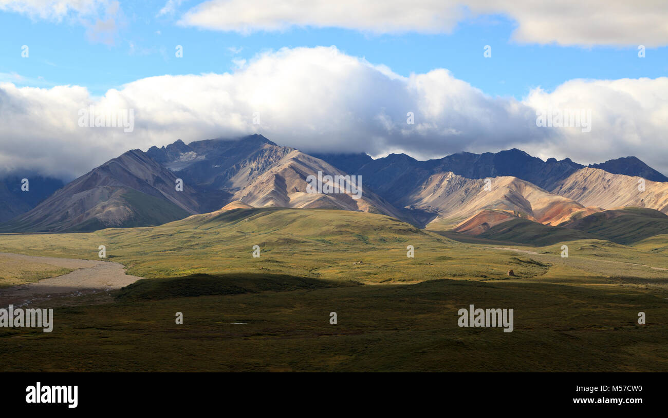 Panorama in the Denali national park in Alaska Stock Photo - Alamy