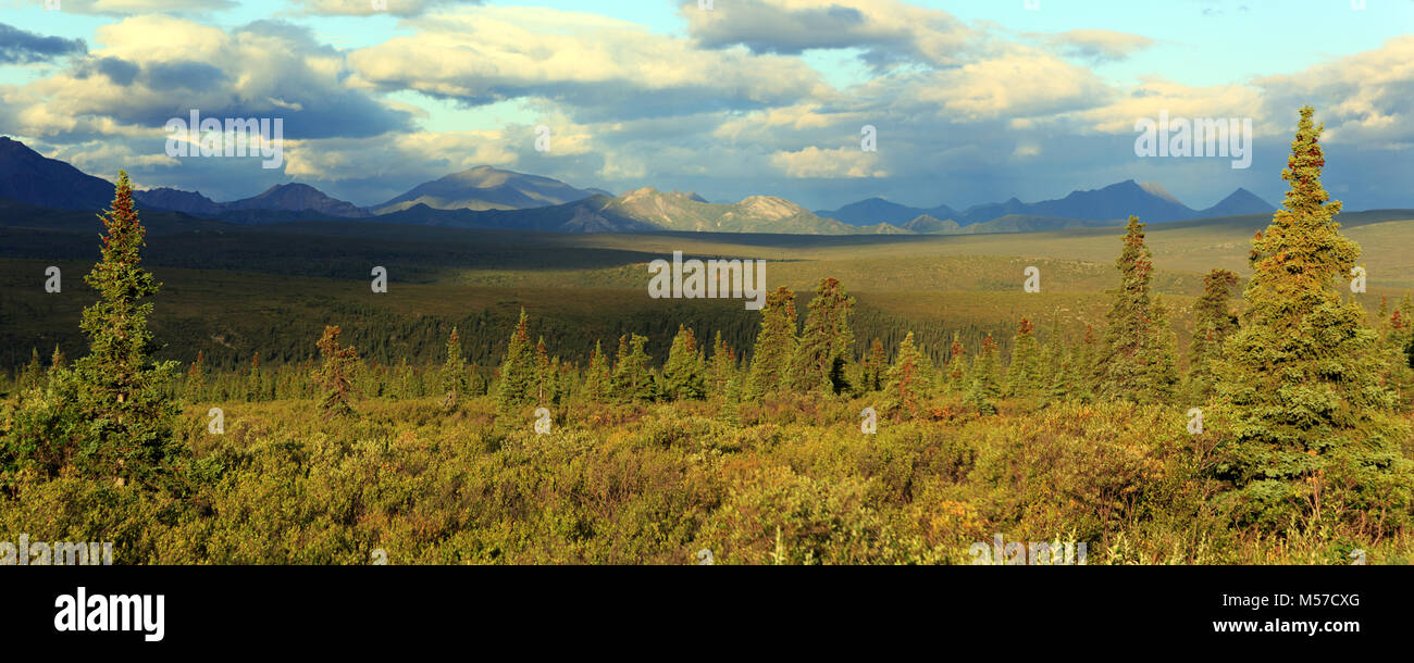 Panorama in the Denali national park Stock Photo - Alamy