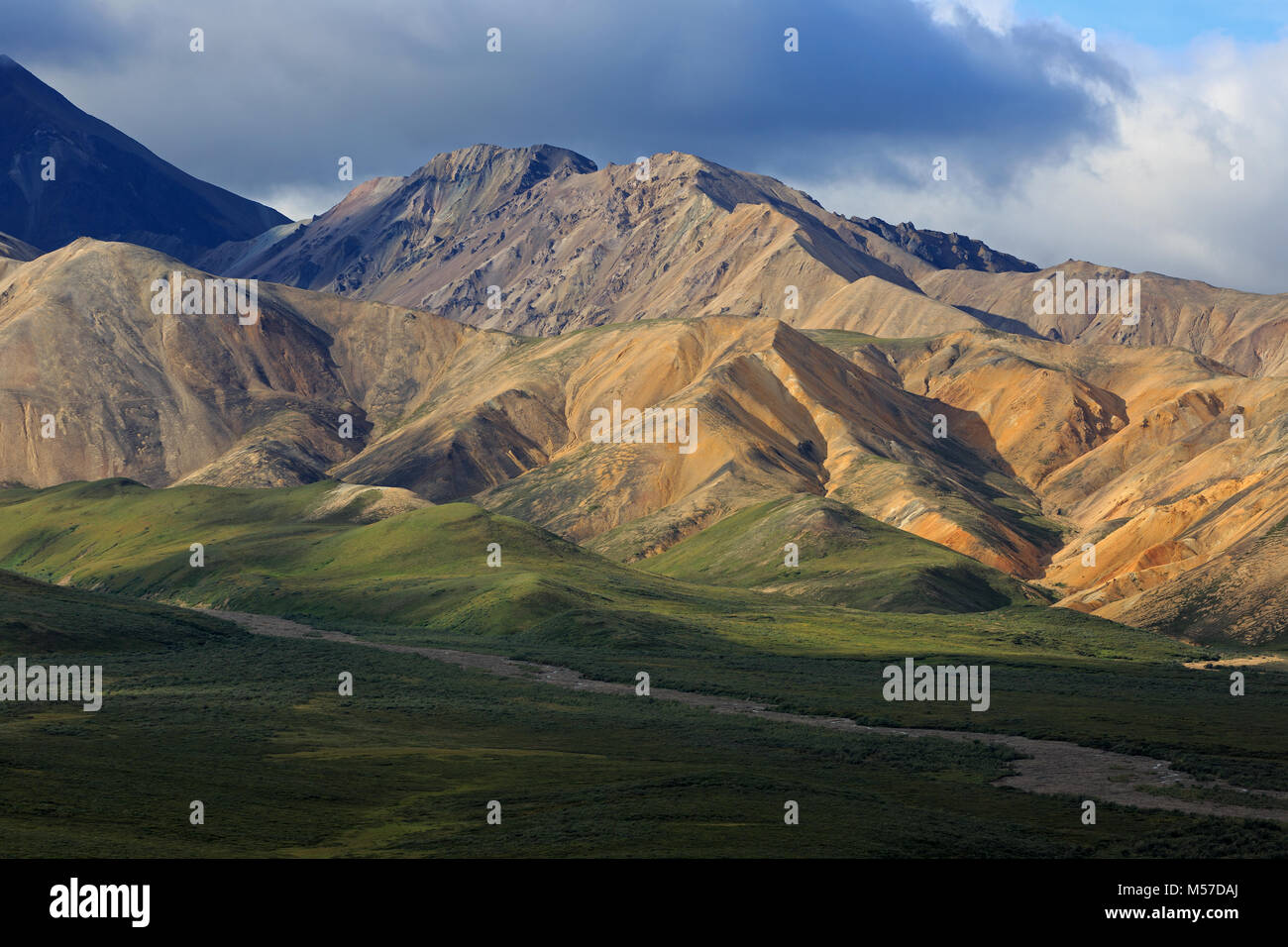 Panorama in the Denali national park in Alaska Stock Photo - Alamy