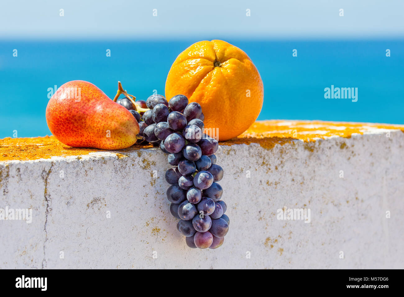 Sea fruit hi-res stock photography and images - Alamy